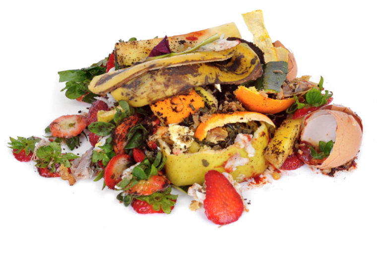 Fungal fermentation: A novel approach to upcycling food waste - Food ...