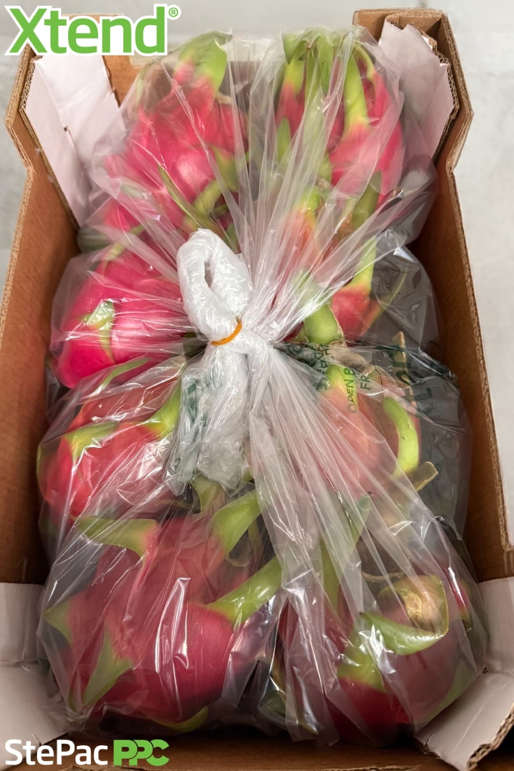 StePacPPC develops modified atmosphere packaging for dragon fruit ...