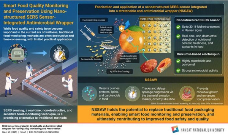 Novel SERS sensor wrapper enables real-time food quality monitoring and ...